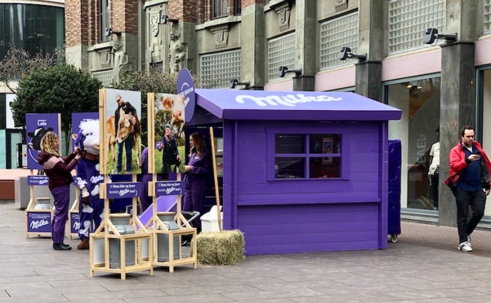 Milka chocolate stand (Or: Vote for your favorite cow) | Life in the Hague